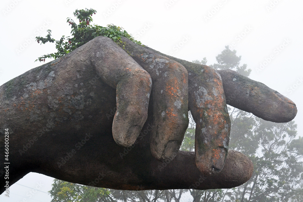 Sculpture of a giant hand, different plants grow on the back of the ...