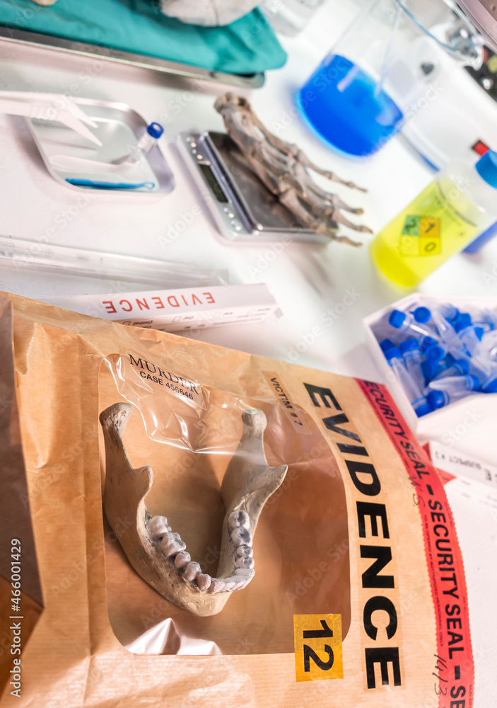 Evidence bag with human lower jaw in forensic lab murder investigation ...