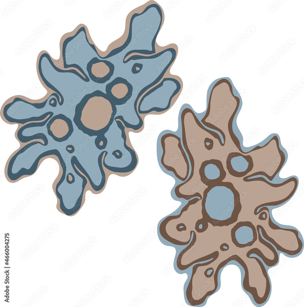 Vector drawing of two abstract isolated amoebas Stock Vector | Adobe Stock