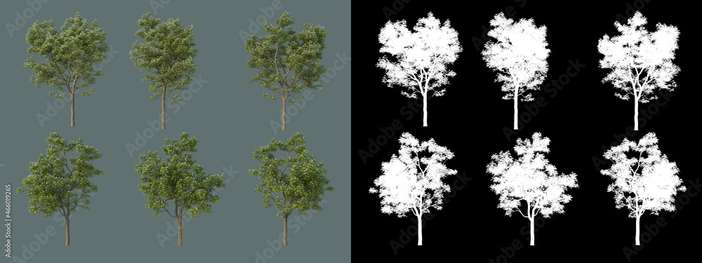 Different types of trees in different colors Stock Photo | Adobe Stock