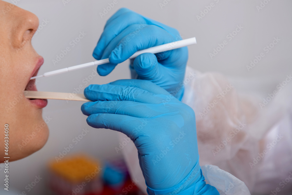 doctor's hands take a PCR test for covid from patient, a smear from ...