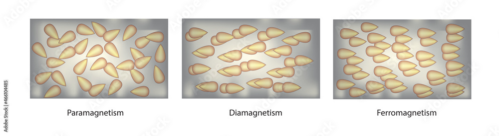 Physics illustration of paramagnetism, diamagnetism and ferromagnetism ...