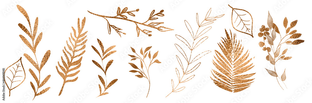 Vector plants and grasses in gold style with gloss effects and and gold ...