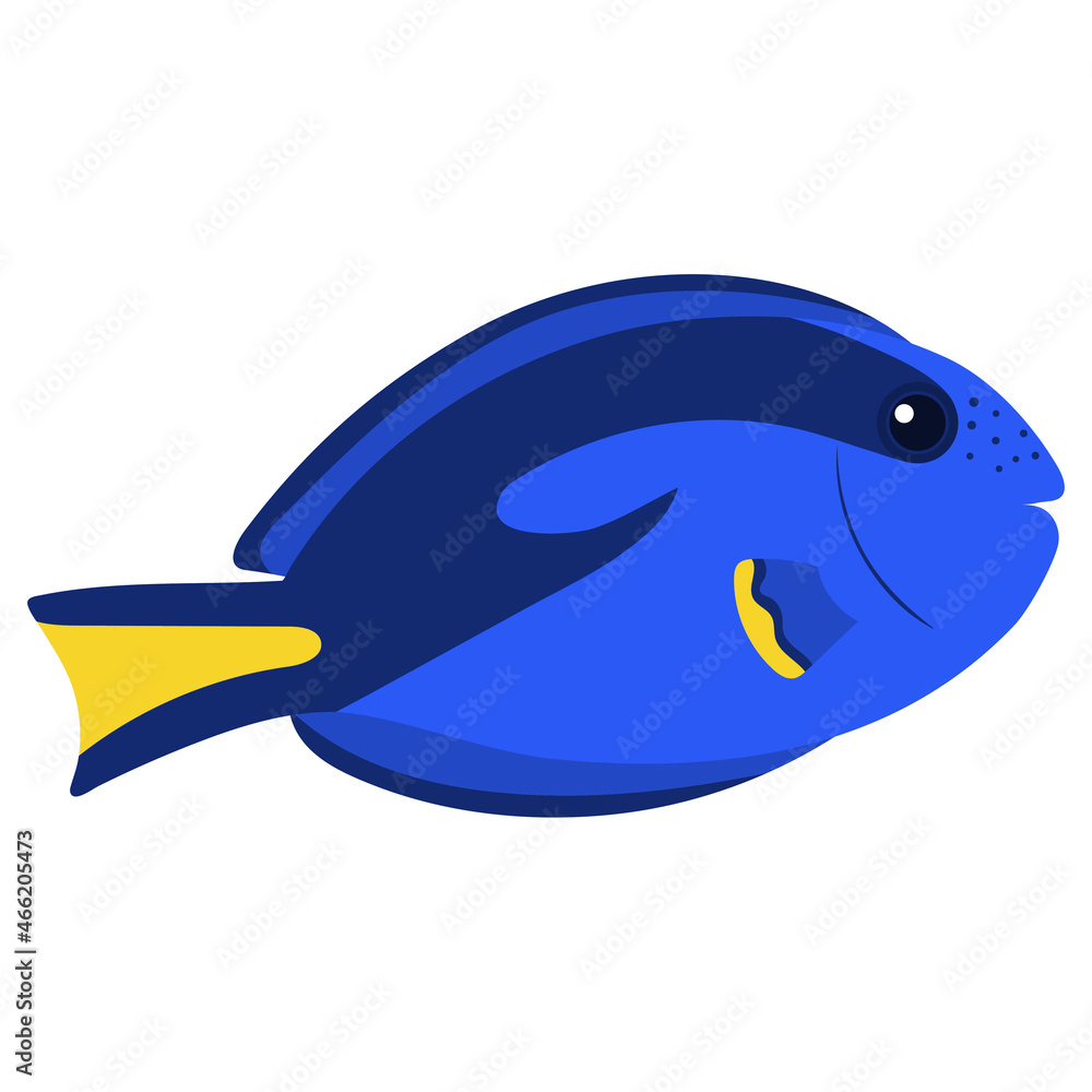 Beautiful cartoon illustration with colorful sea animals surgeonfish on ...