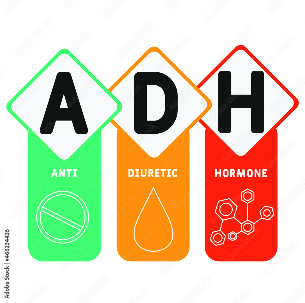 ADH - Antidiuretic Hormone acronym. medical concept background. Vector ...
