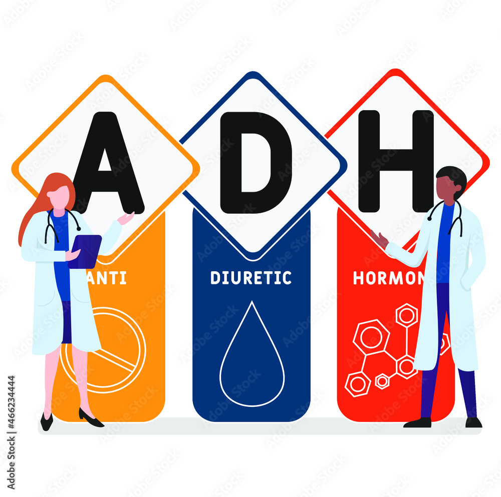 ADH - Antidiuretic Hormone acronym. medical concept background. Vector ...