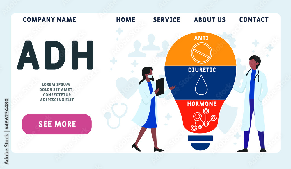 ADH - Antidiuretic Hormone acronym. medical concept background. Vector ...