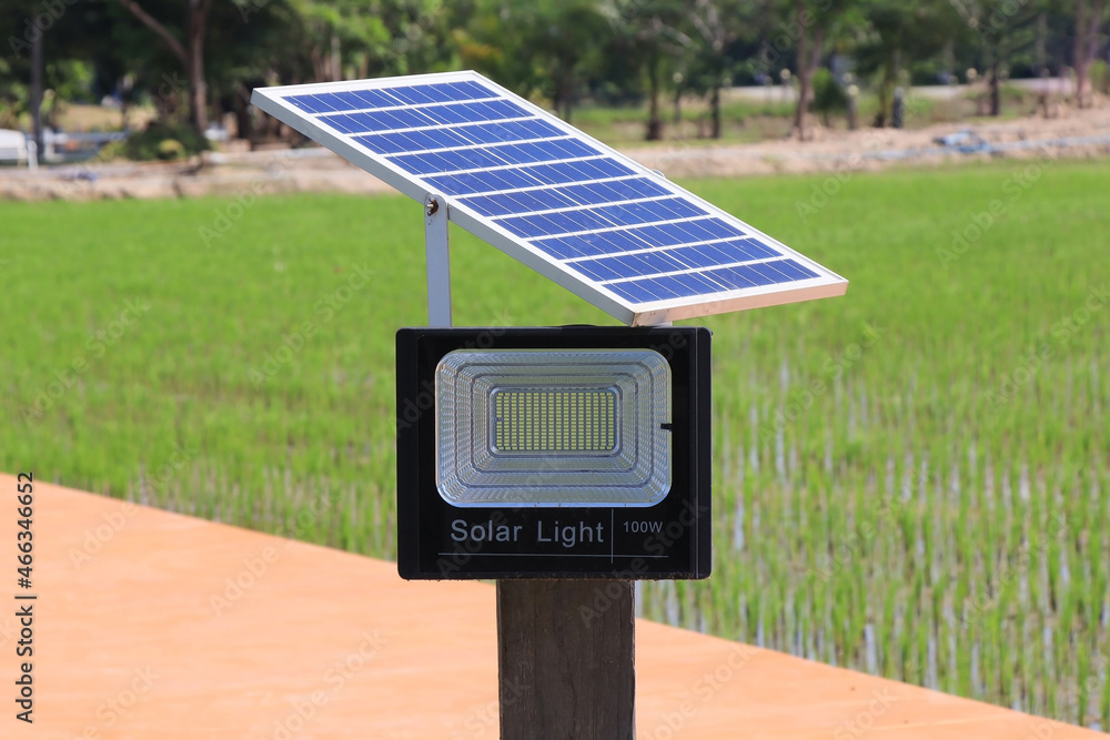 Solar cell lamp with rice field background, Alternative energy Stock ...