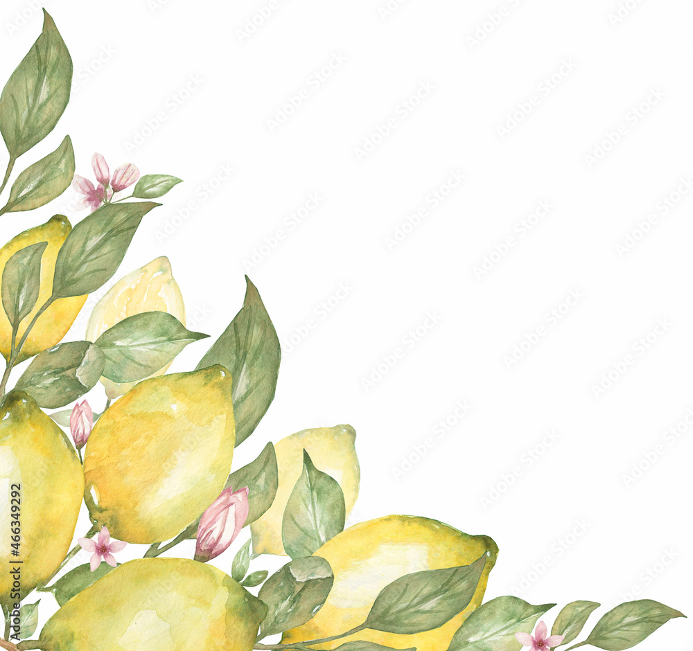 Watercolor Lemon Frame Clipart, Tropical Exotic fruit border, floral ...