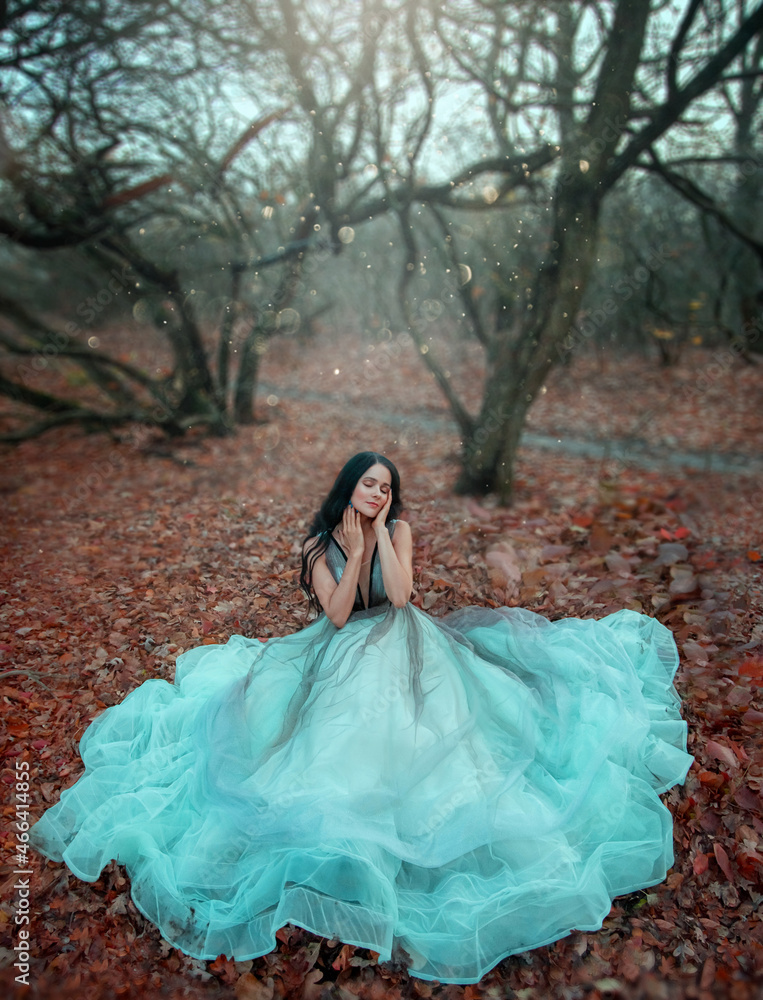 Fantasy woman princess in luxury blue dress sits on ground. Fallen ...