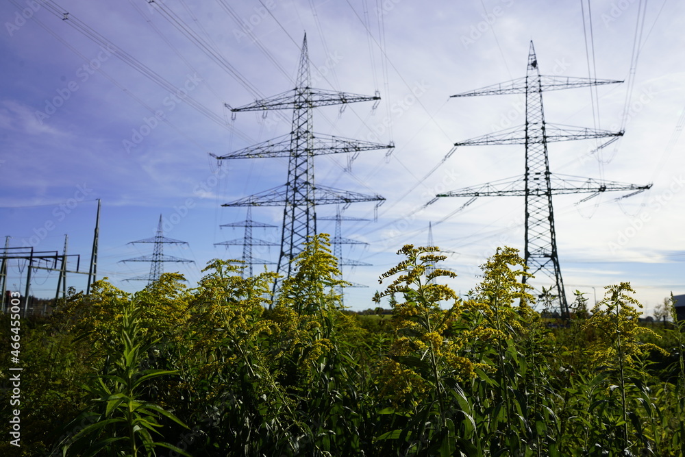 Strom Stromtrasse grüner Energiekrise Energie Stock Photo | Adobe Stock