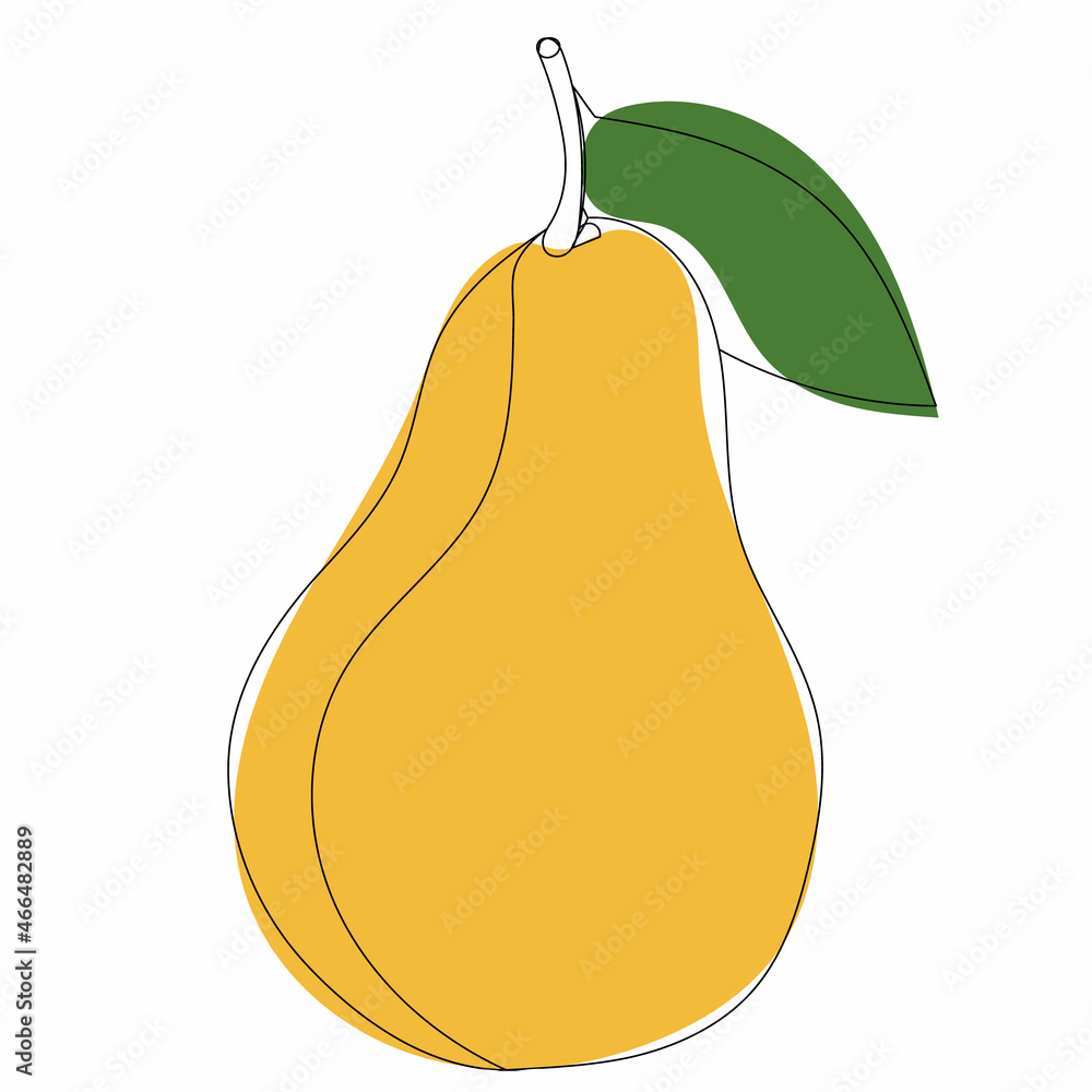 sketch pear line drawing, vector Stock Vector | Adobe Stock