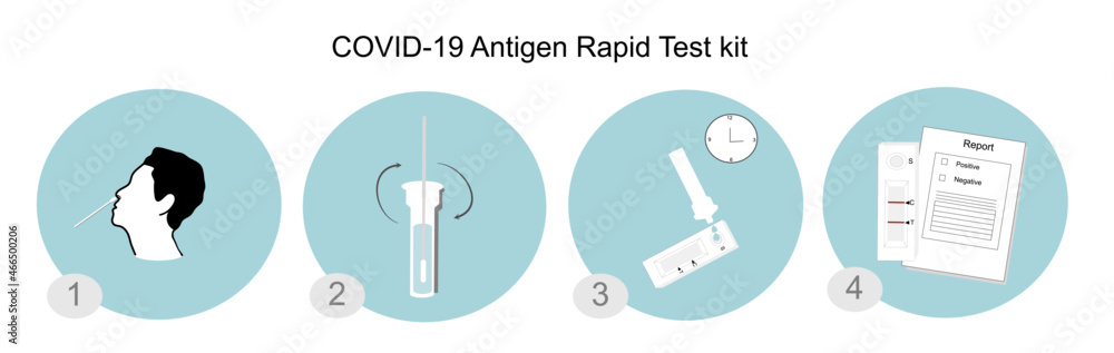 The method or protocol of Antigen rapid test kit to detect the Antigen ...