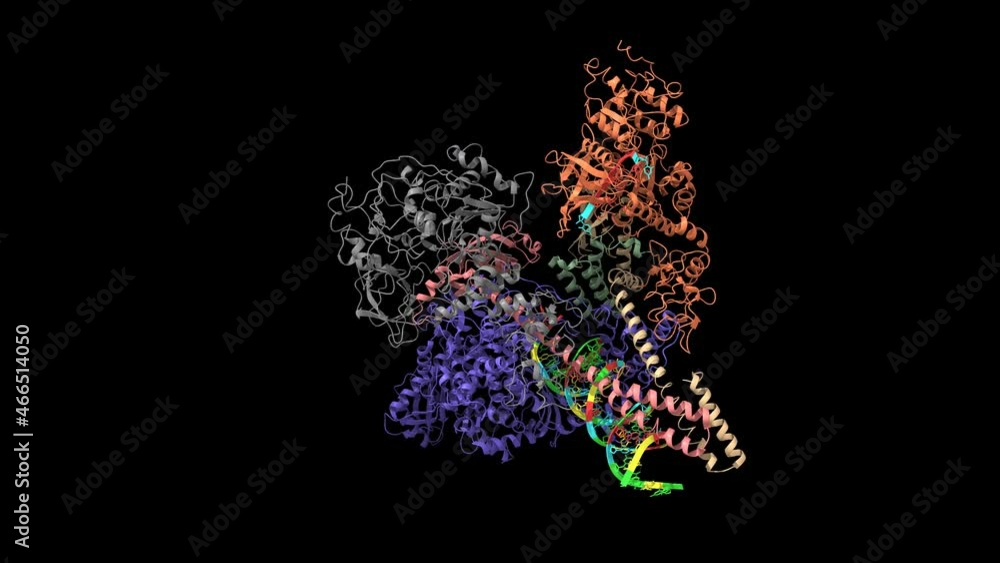 Structure of SARS-CoV-2 mini replication and transcription complex ...