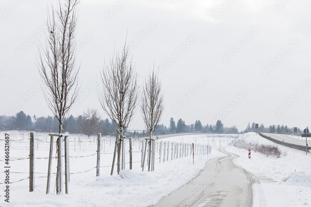 Small road in winter next to fence with snow beacons for road marking ...