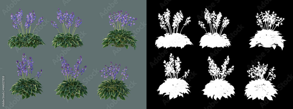 Various trees and shrubs Stock Illustration | Adobe Stock