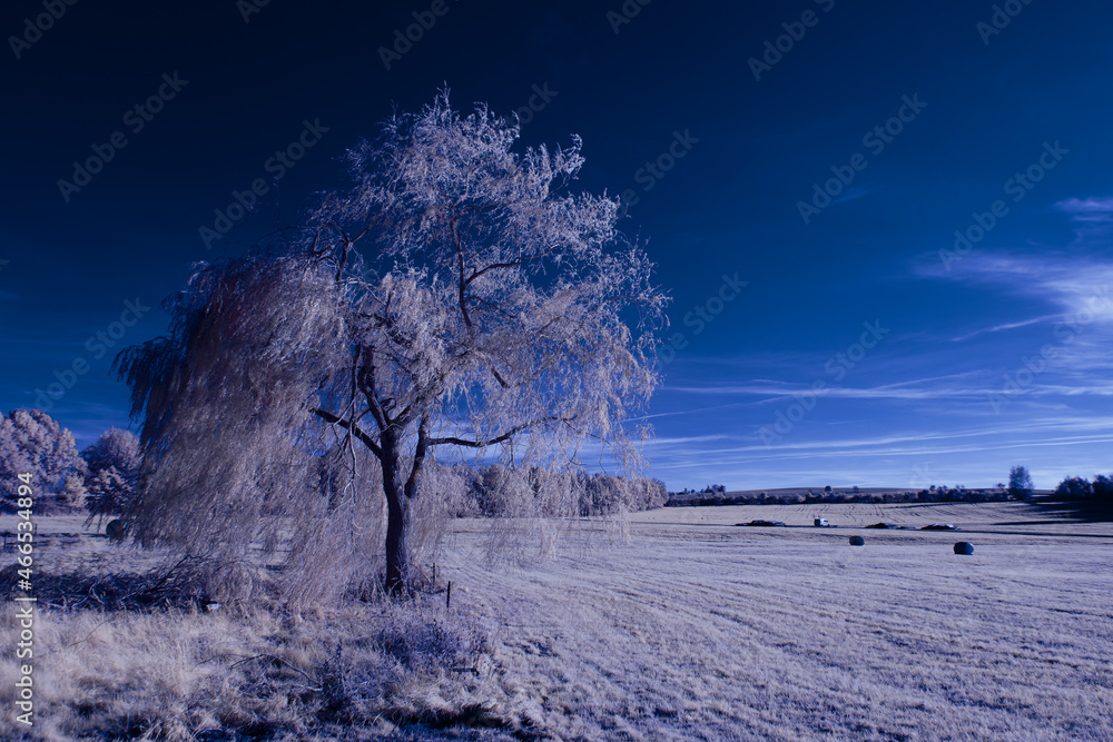 infrared photography - surreal ir photo of landscape with trees under ...