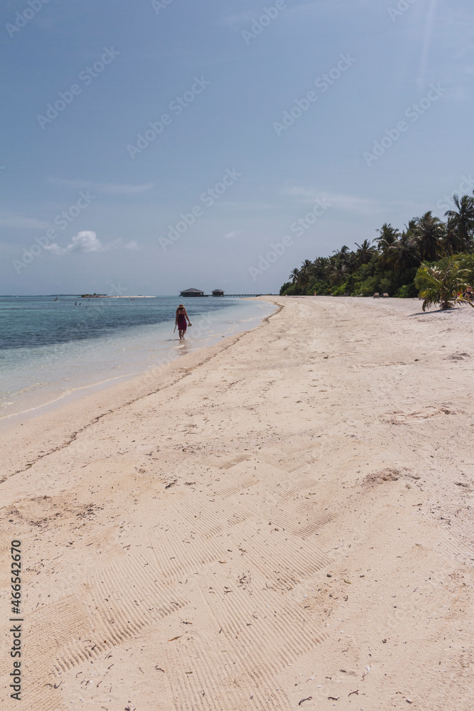 Paseando, Playa paradisiaca soleada, agua cristalina, palmeras verdes y ...