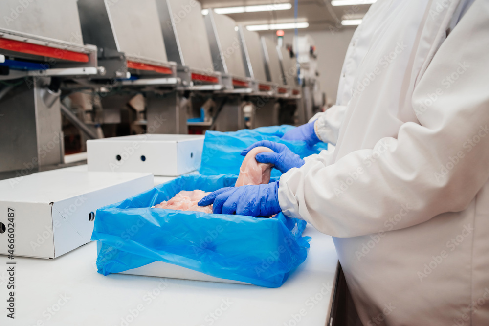 modern poultry processing plant.Meat processing in food industry ...