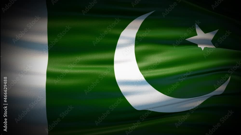 Animation Pakistan flag is waving seamless loop. Pakistan flag waving ...