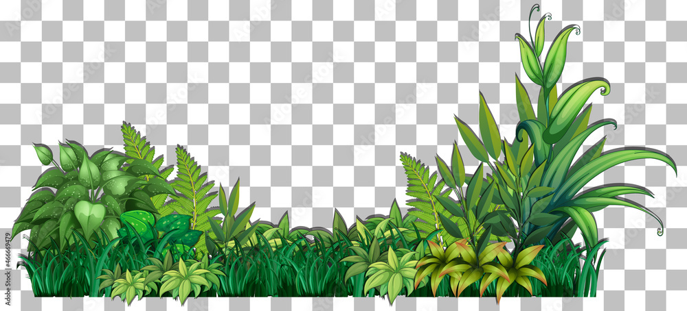 Grass and plants on transparent background for decor Stock Vector ...