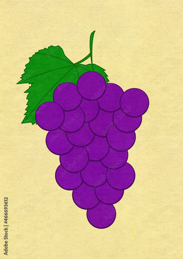 Dessin d'une grappe de raisin avec une feuille de vigne Stock ...