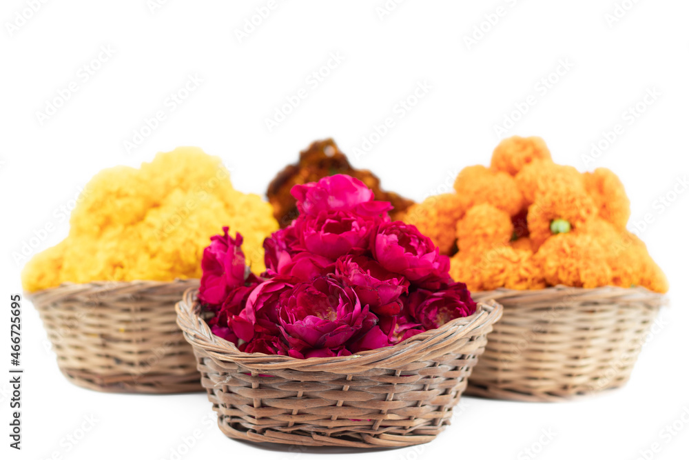 Pink Rose In Bamboo Basket Called Gulab Phool Ki Puja Tokri Or Dalia ...