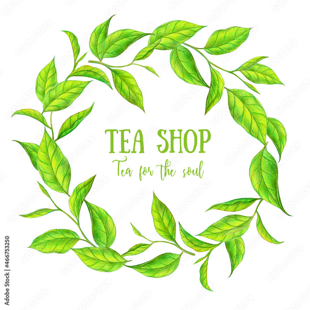 Circle concept, tea illustration. Tea leaves hand drawn illustration ...