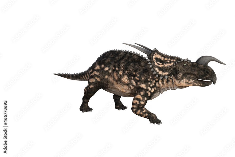 Einiosaurus in different angles and poses rendered on white background ...