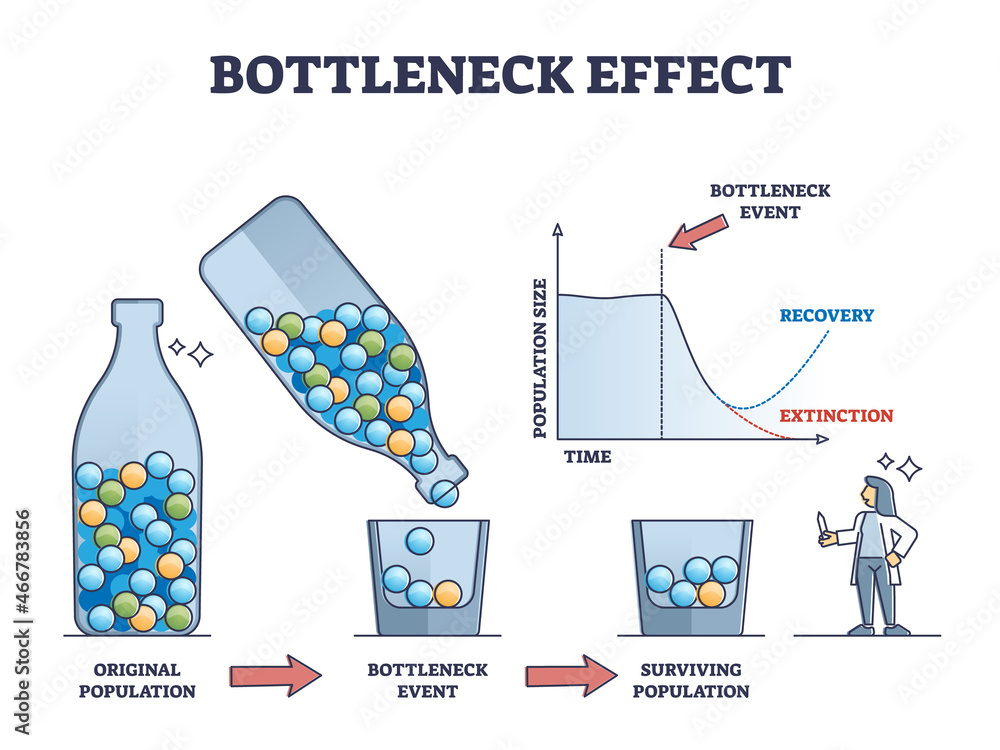 Bottleneck Effect Graph