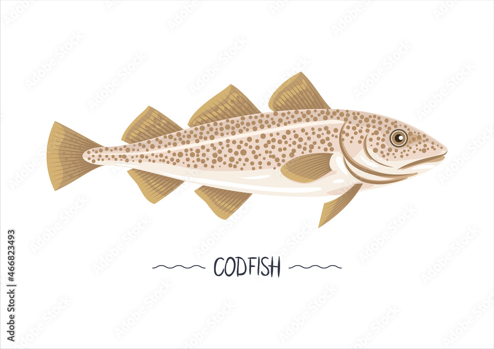 Codfish fresh raw cartoon vector icon, sign, simbol. Pasific, atlantic ...