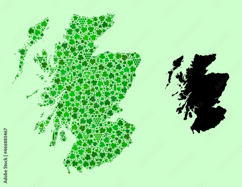 Vector Map of Scotland. Collage of green grape leaves, wine bottles ...