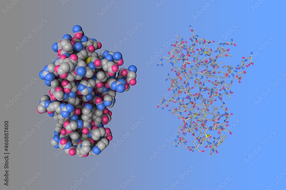 Molecular model of human angiogenin or ribonuclease 5, a small 123 ...