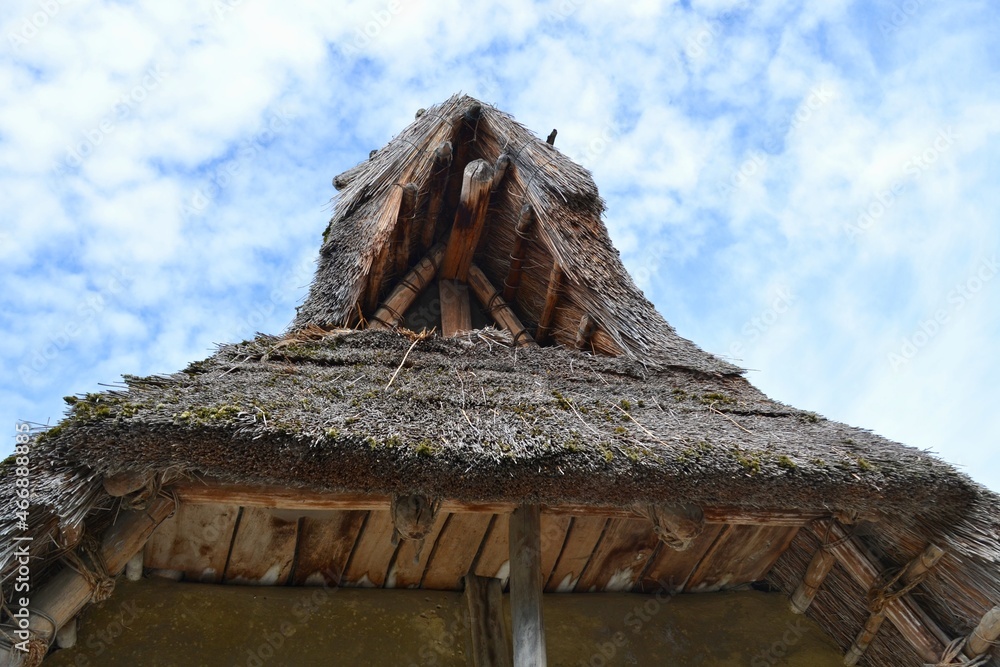 Reed roof of medieval Stilt house in Unteruhldingen at lake Constance ...