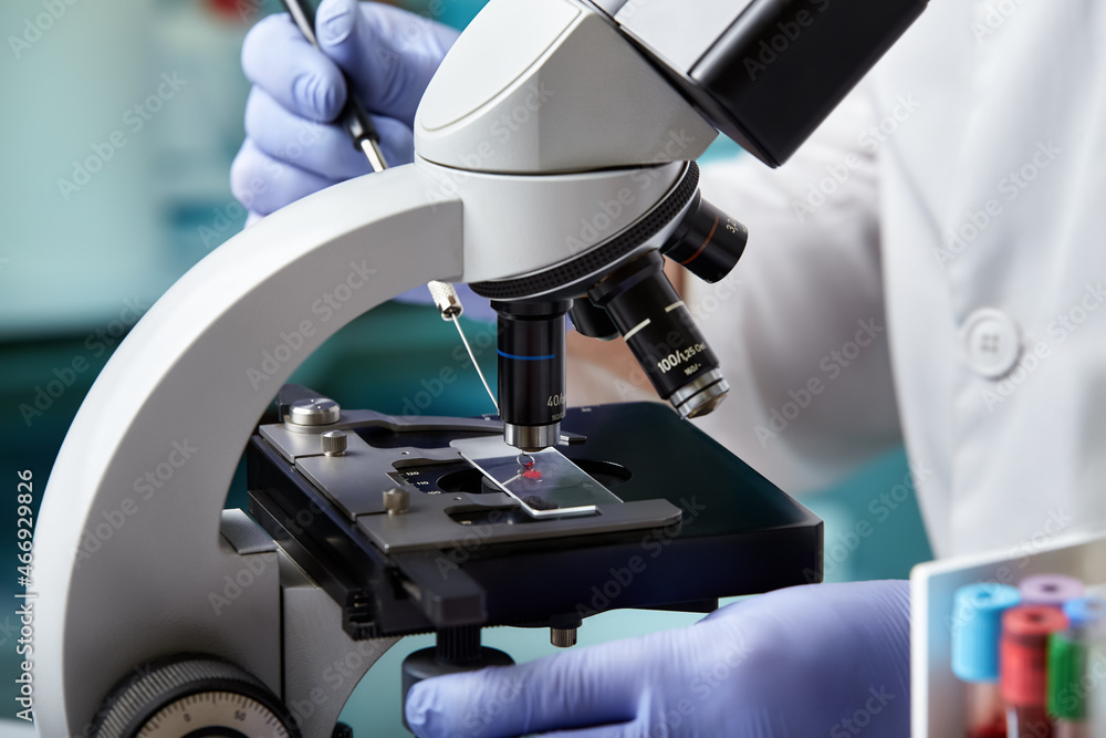 Microscopist scientist examining biological samples with a microscope ...