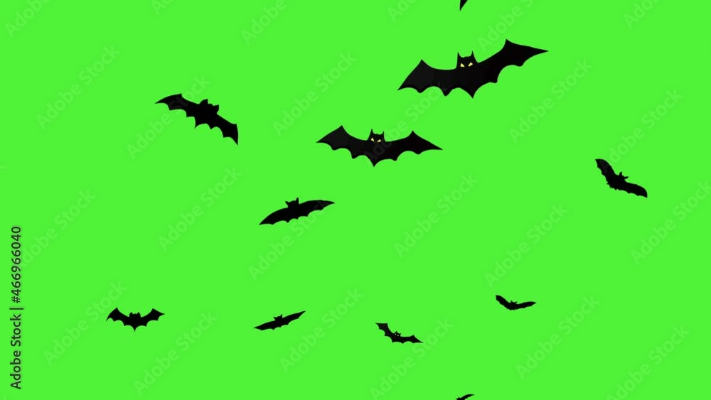 Flock of bats flying on green screen background. Spooky black bats ...
