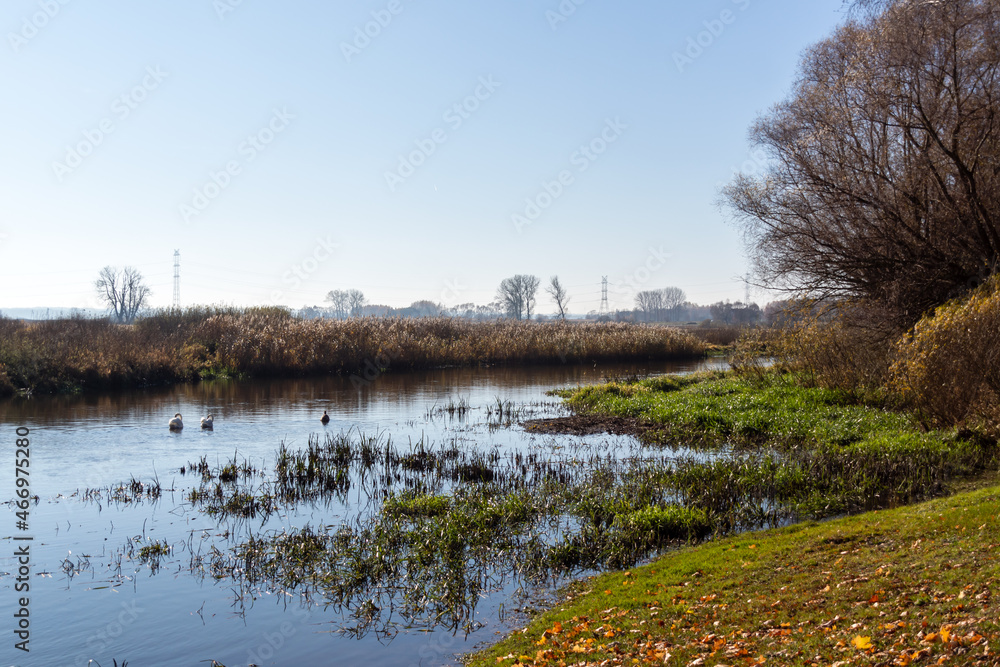 Narwiański Park Narodowy, Rzeka Narew w Surażu, Podlasie, Polska Stock ...