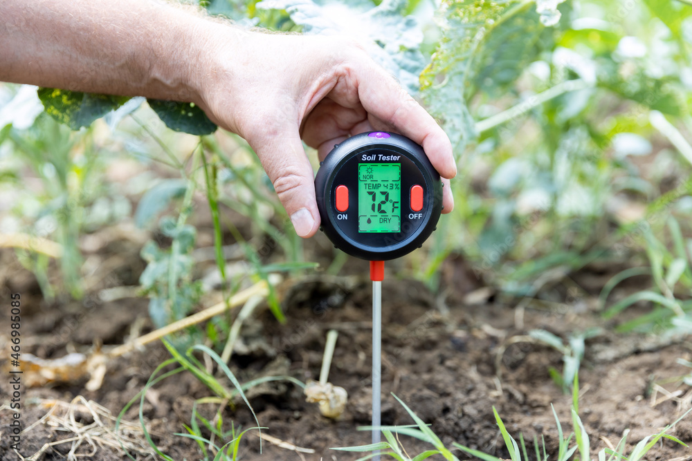 Measuring temperature and moisture content of the soil. Greenhouse ...