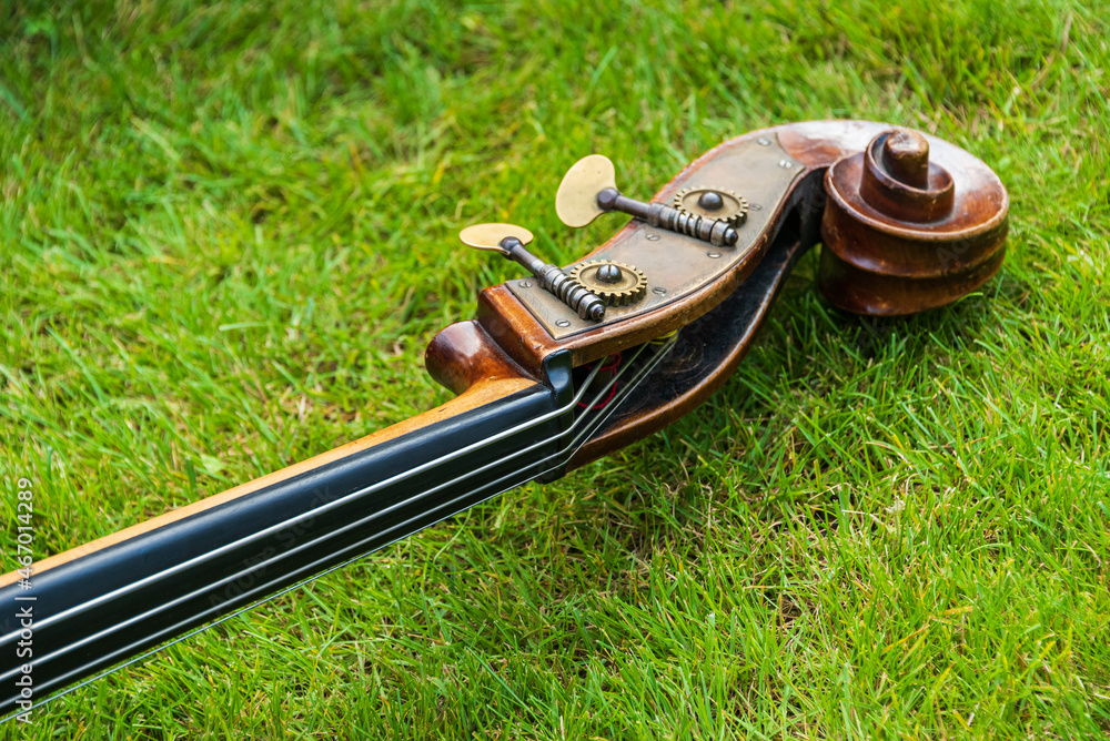 Contrabass on a background of green grass. The musical instrument ...