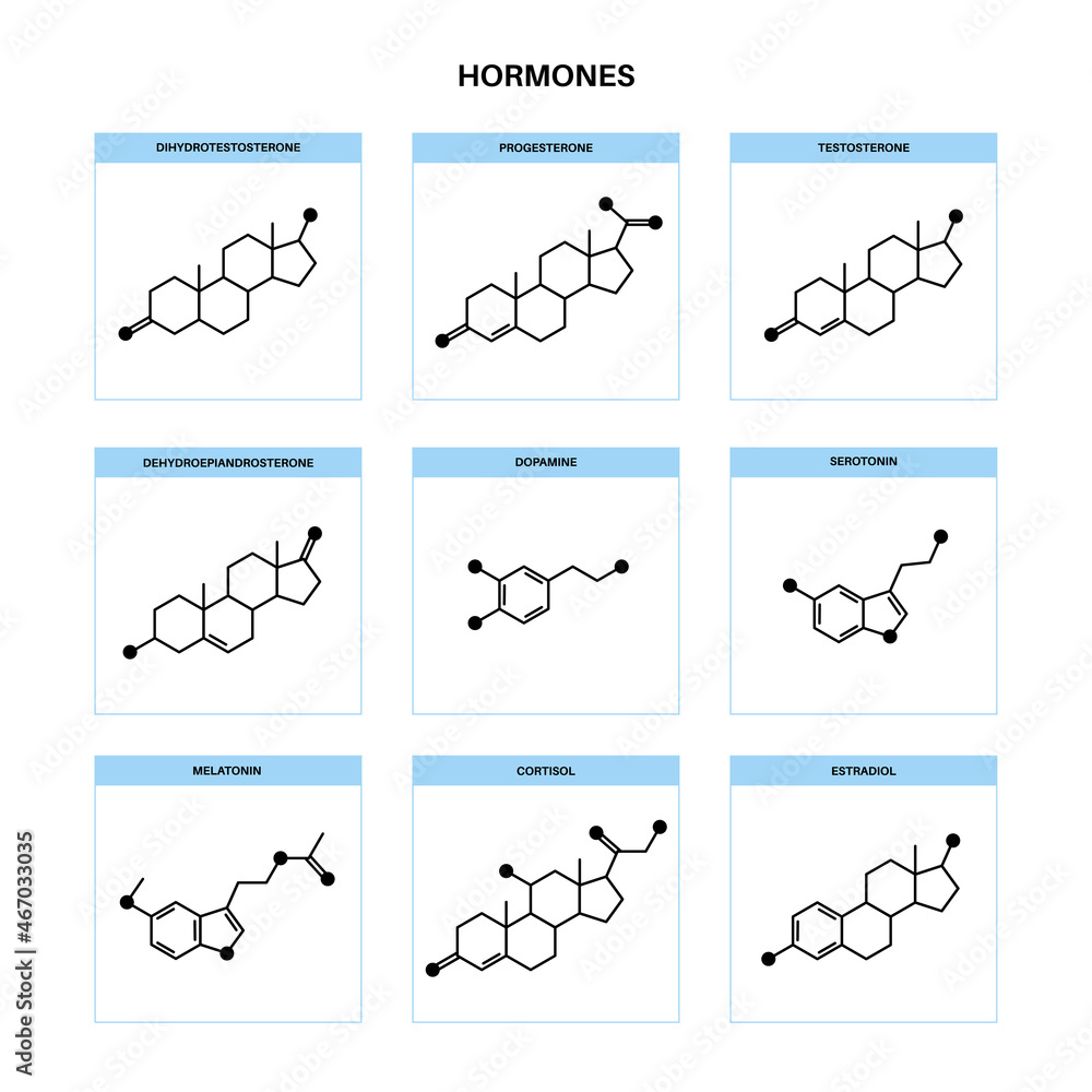 hormones molecular formula Stock Vector | Adobe Stock