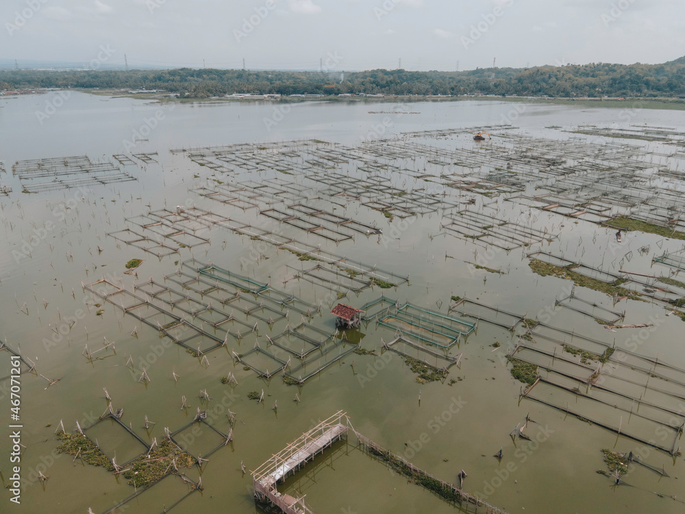 Aerial view of traditional floating fish pond on swamp in Indonesia ...