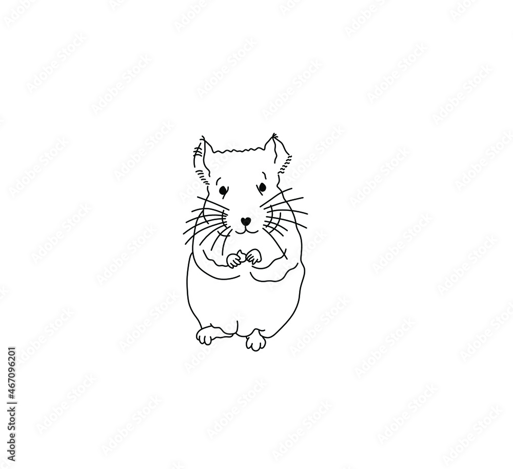 Vector isolated chinchilla standing on its hind legs contour line ...