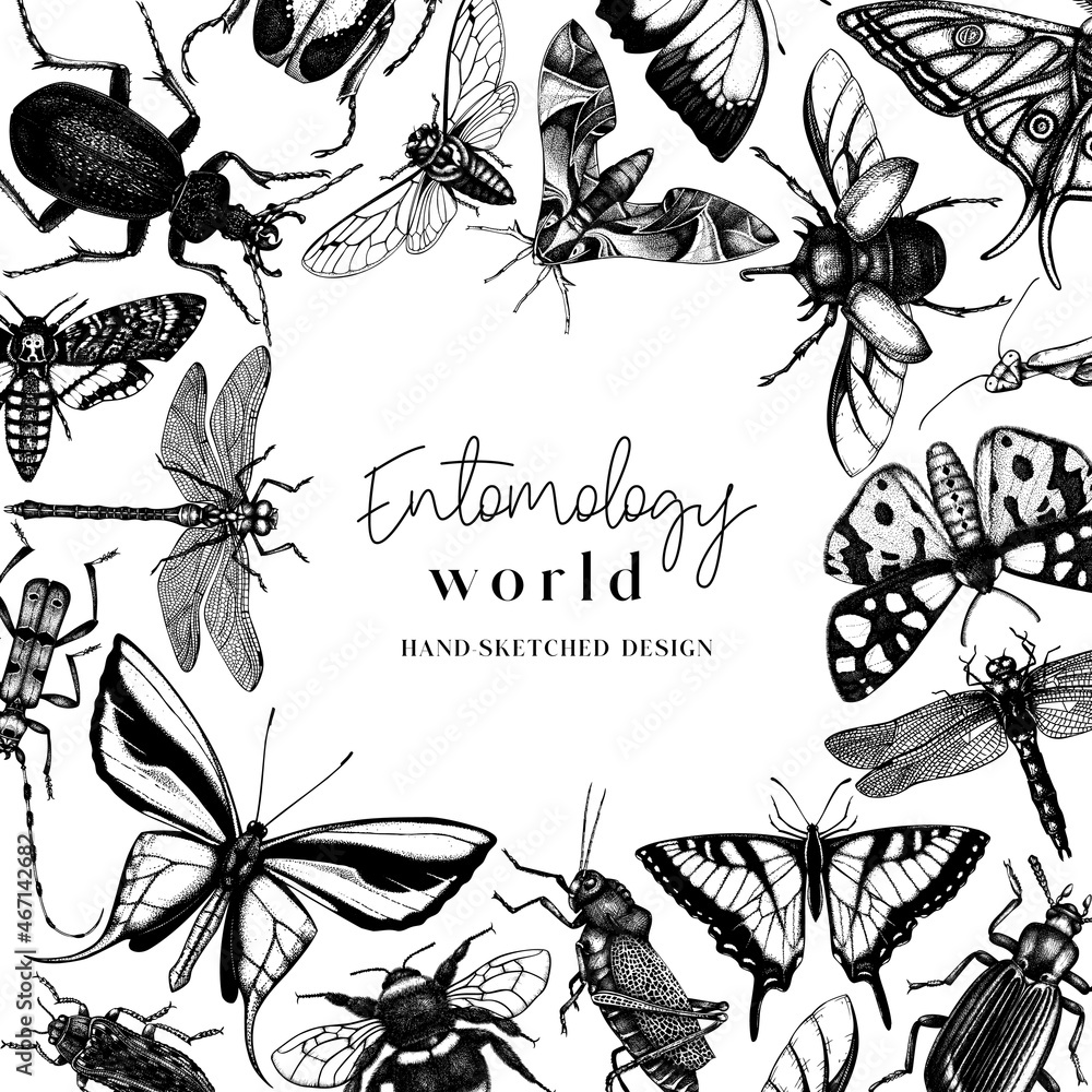 Hand-sketched insect wreath template. Hand drawn beetles, bugs ...