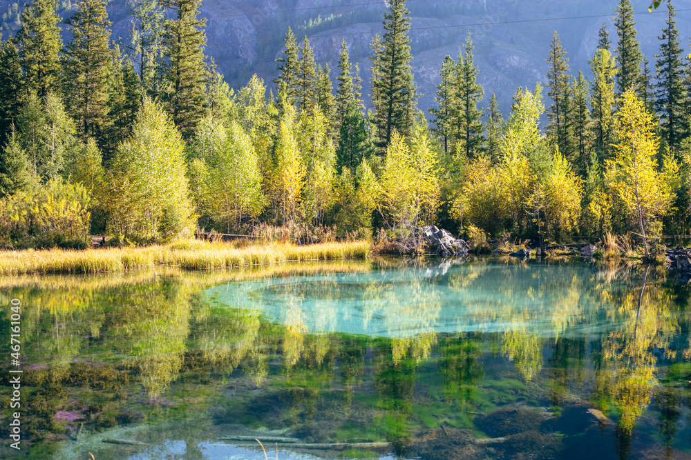 Geyser Lake in the Altai Republic. A lake with blue clay. Perfectly ...