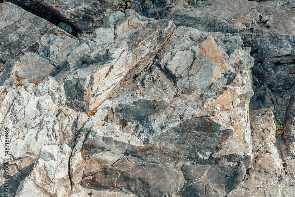 The texture of the rock. A light gray rock with a marble risoncum ...