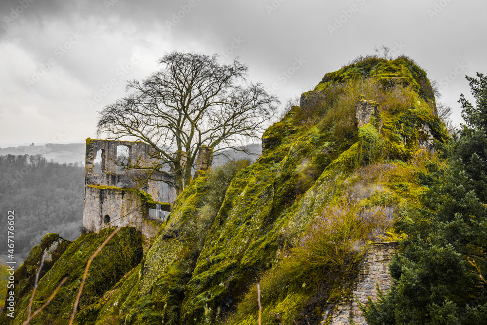 Burg Falkenstein Stock Photo | Adobe Stock