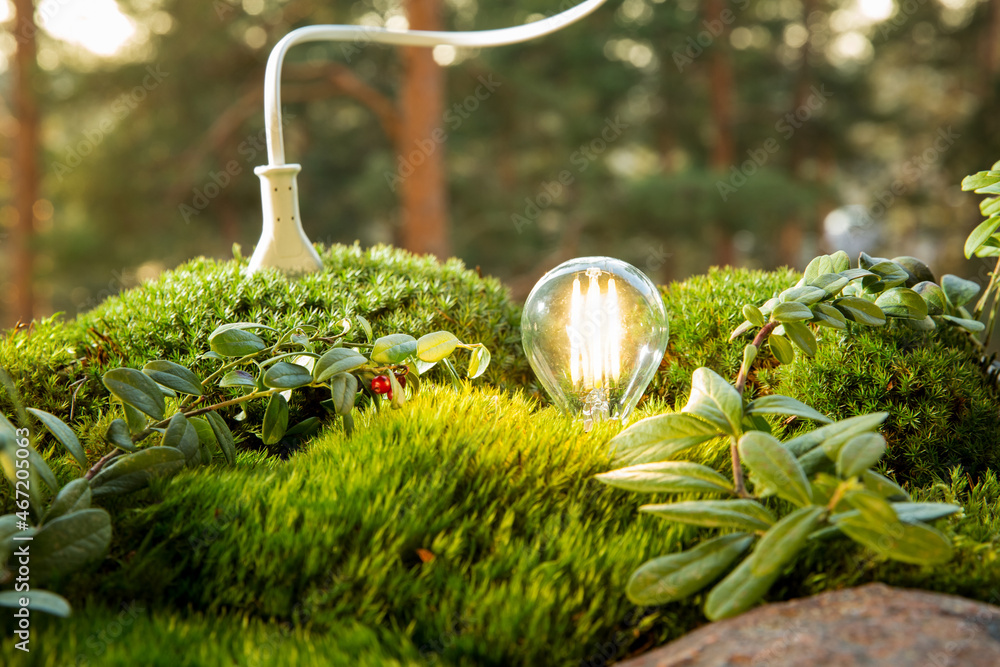Green forest with moss and grass with lightbulbs. Electric plug with ...