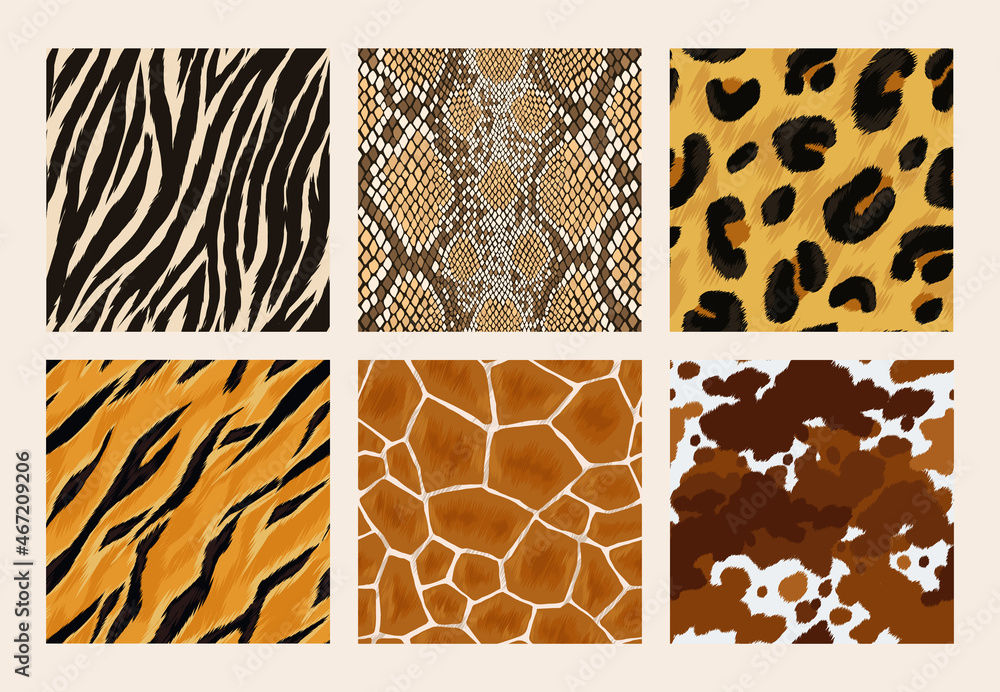 Set of seamless exotic african animal skins. Zebra, leopard, cheetah ...