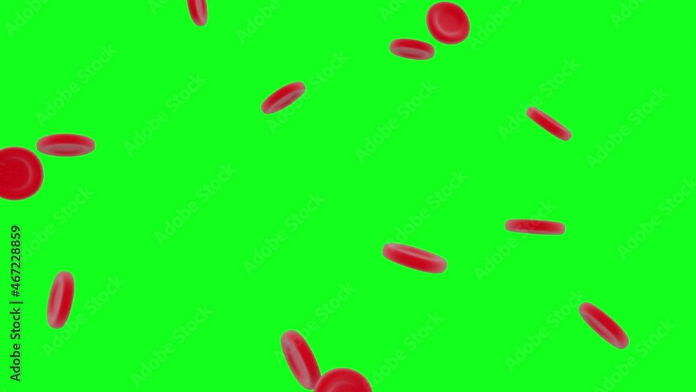 Microscopic view of abstract red blood cells falling on green screen or ...