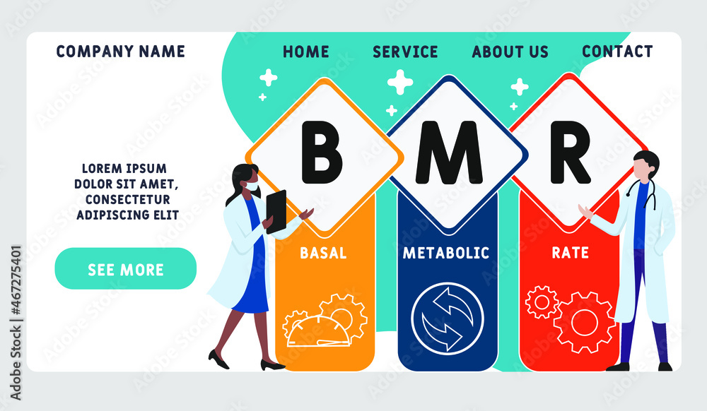 BMR - Basal Metabolic Rate acronym. medical concept background. vector ...